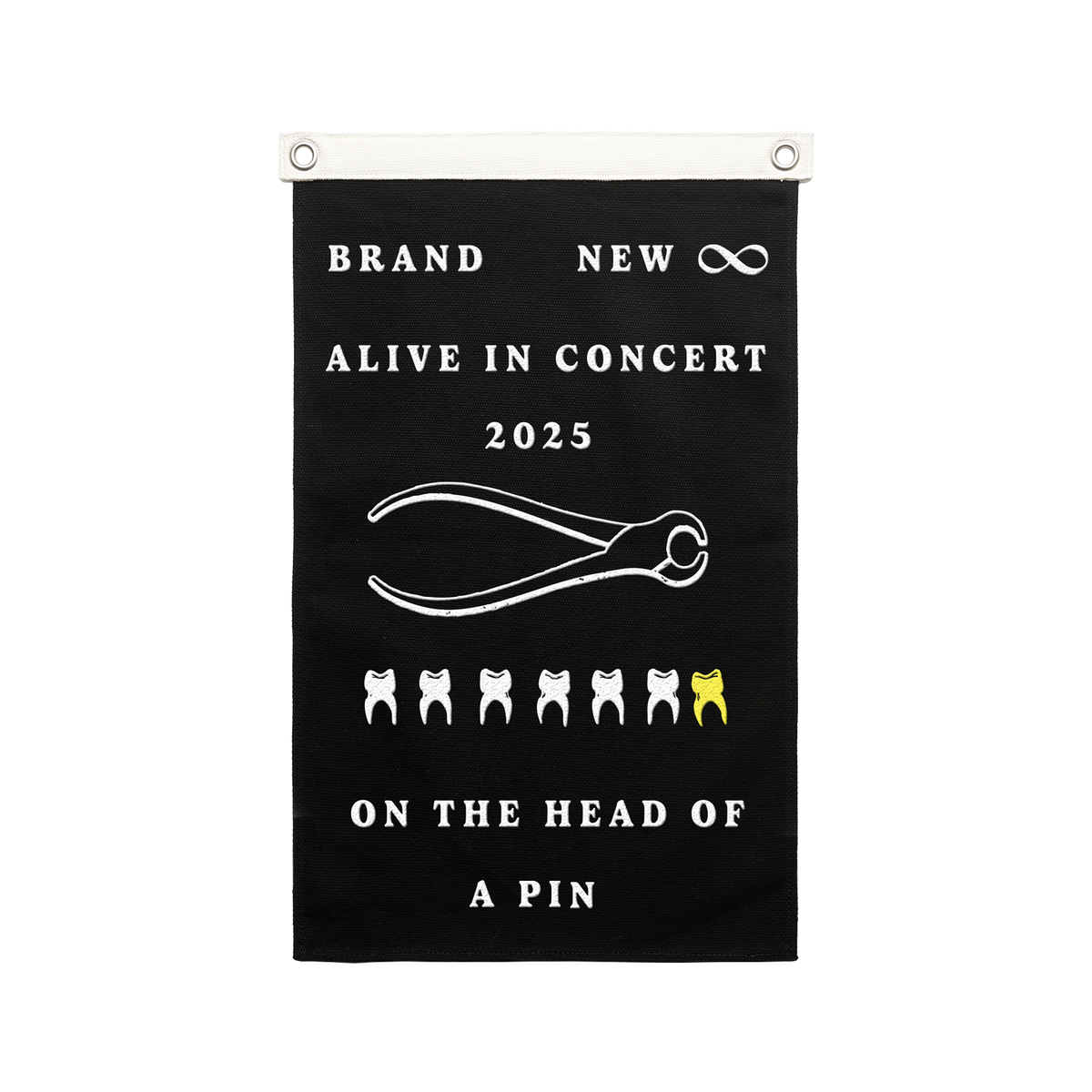 Alive in Concert 2025 Tour Pennant – Brand New